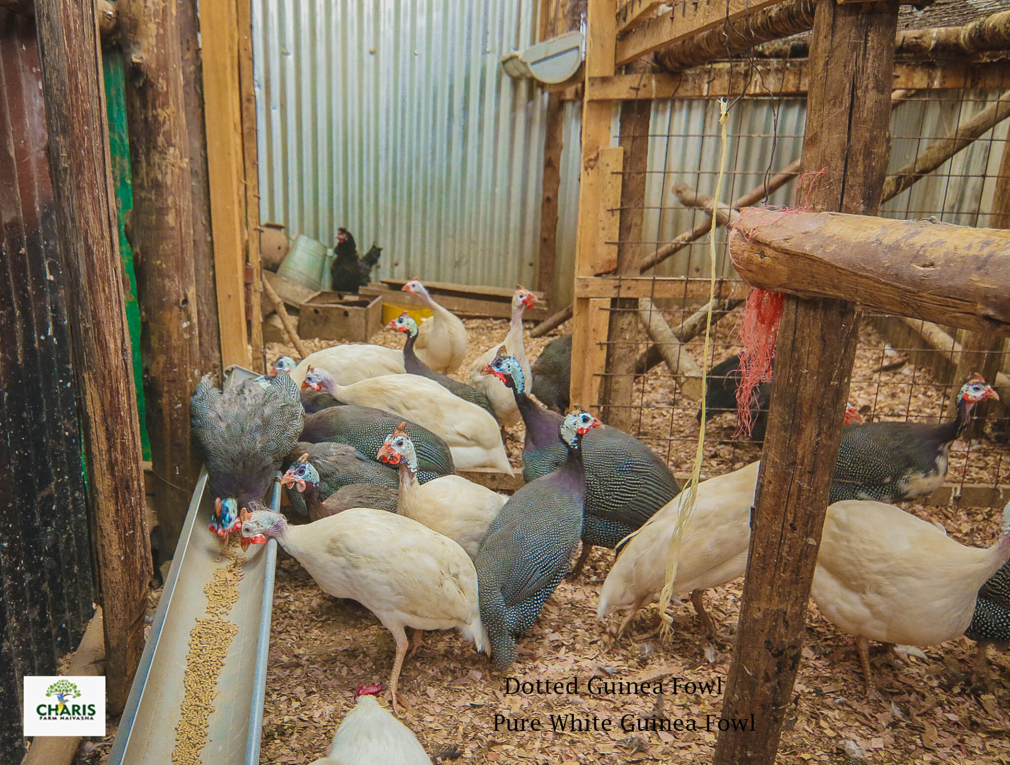 Our story - Charis Farm